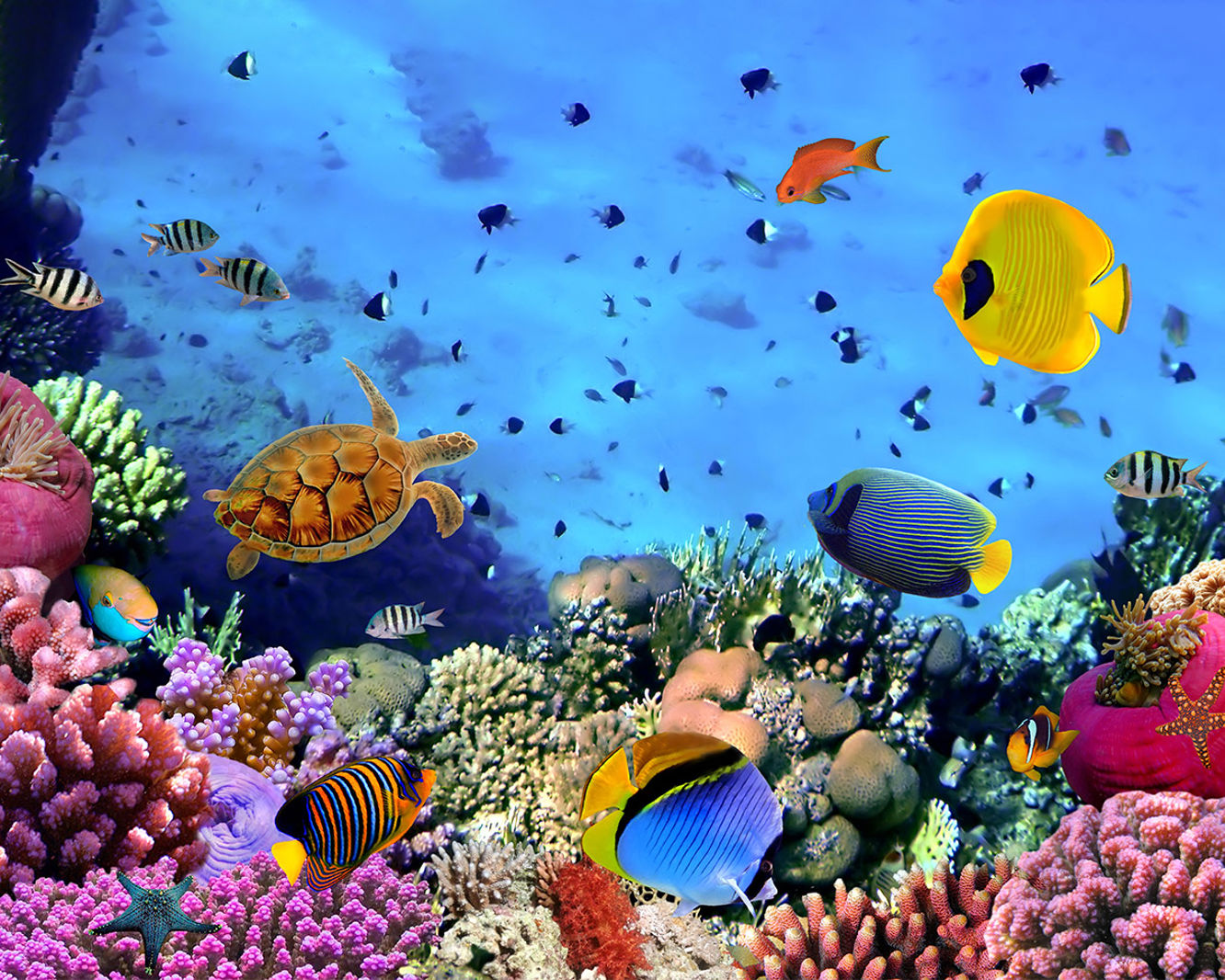 Vakantie Rode Zee - Goedkope vakanties 2025